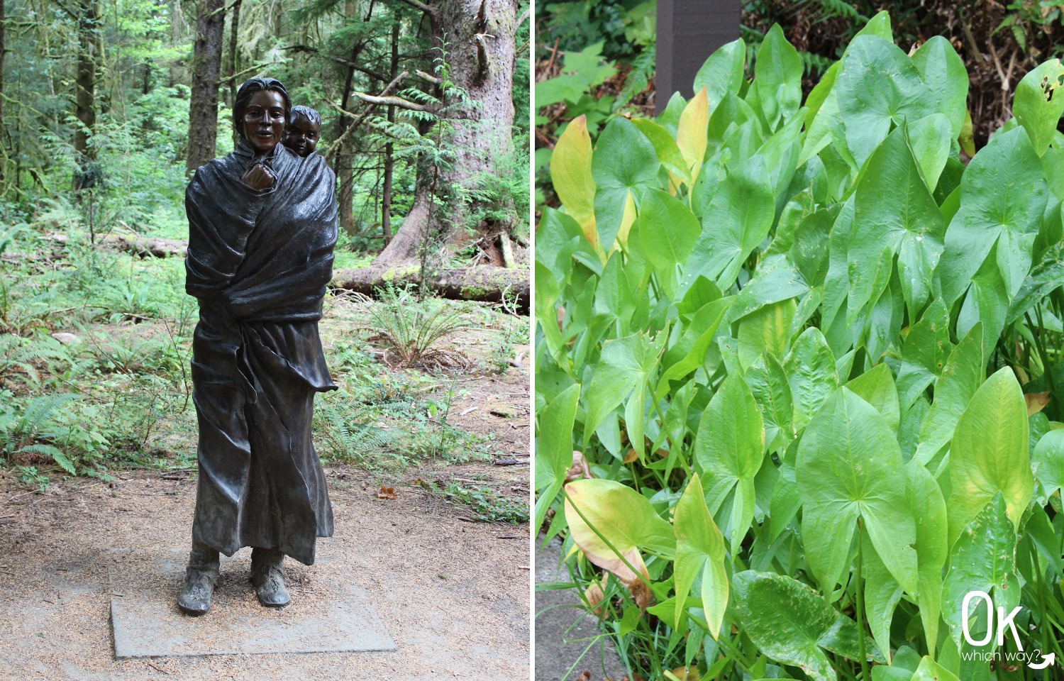 Exploring Fort Clatsop National Memorial | OK Which Way