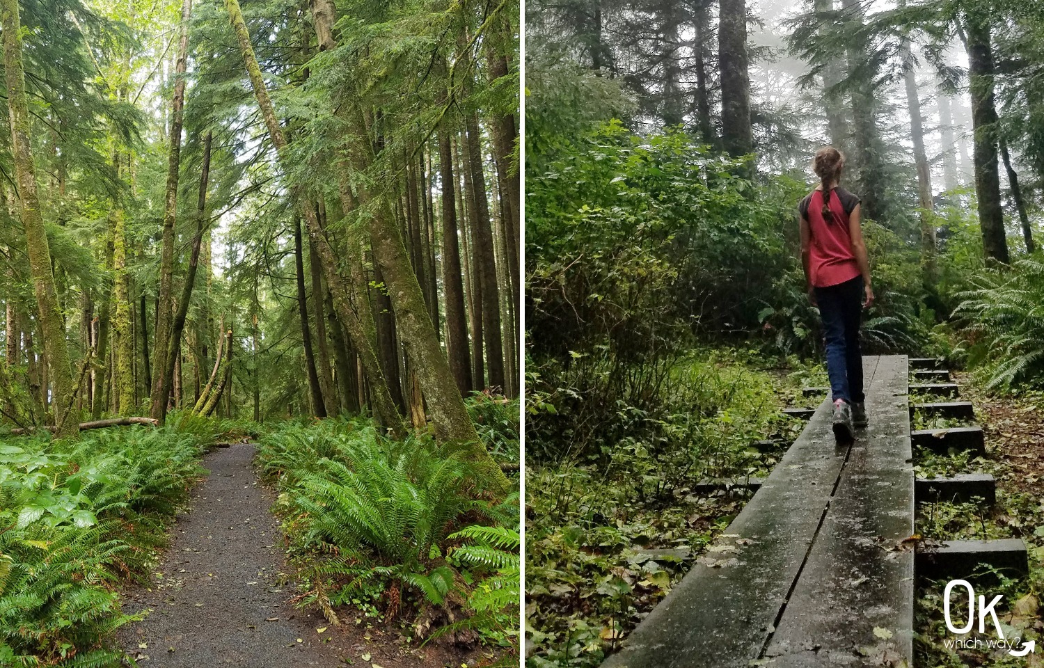 Visiting Ecola State Park | Oregon Coast | OK Which Way