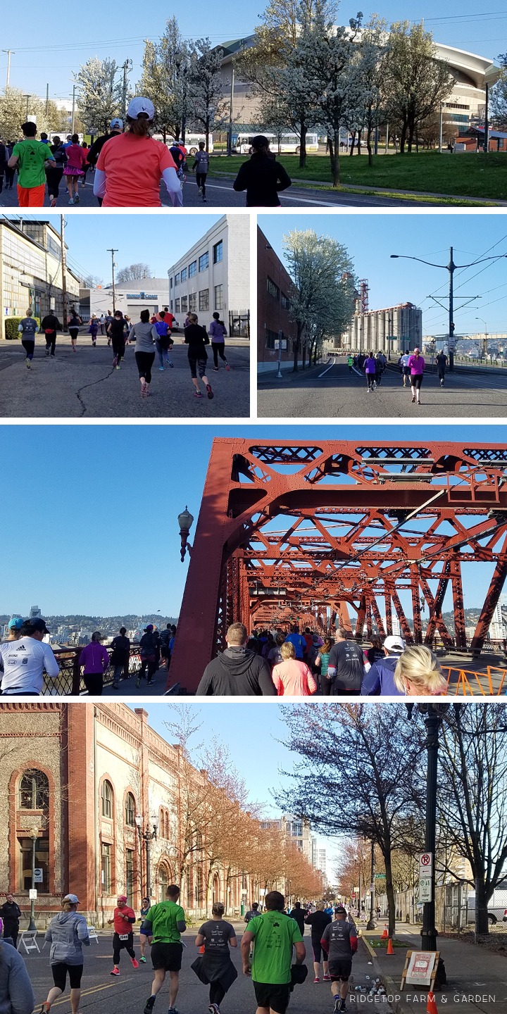 Race for the Roses 10K Recap | OK Which Way