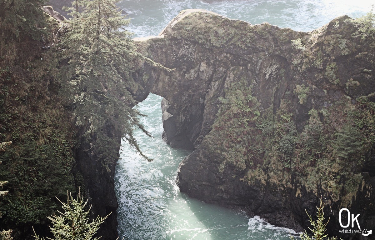 Samuel H. Boardman State Scenic Corridor in Oregon