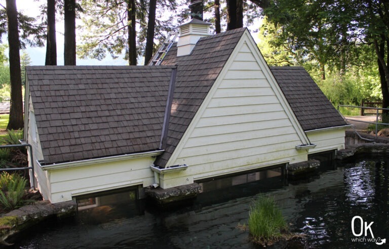 Visiting Bonneville Fish Hatchery in Oregon | OK Which Way