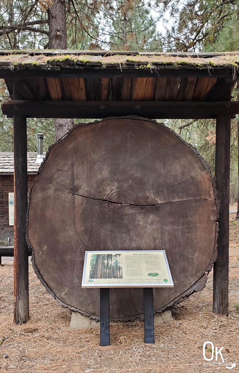 Logging Museum at Collier Memorial State Park | OK Which Way