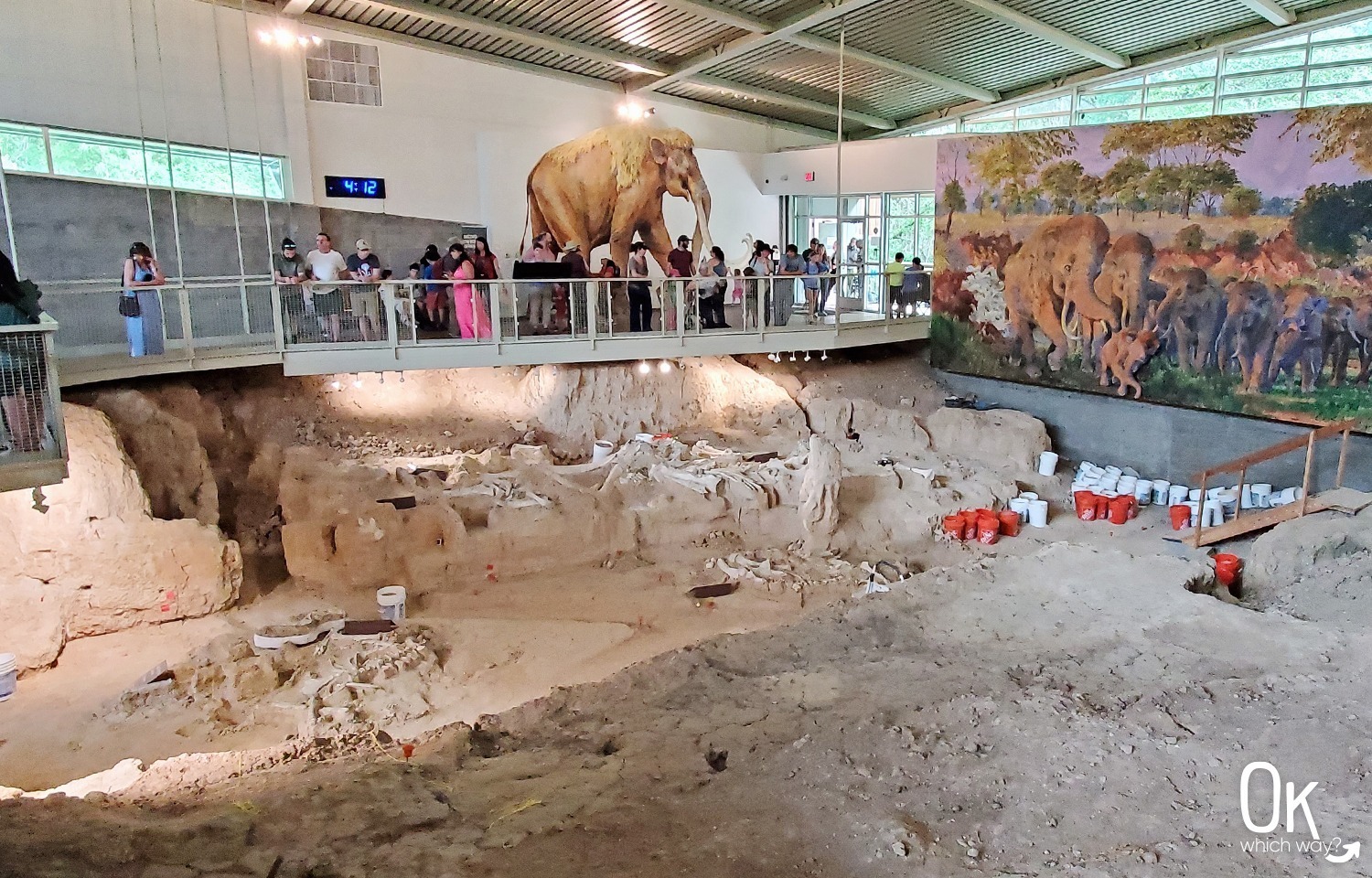 Visiting Waco Mammoth National Monument | OK Which Way