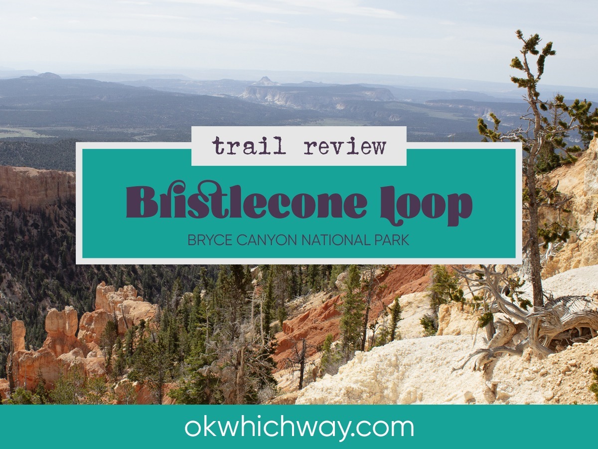 OK – Bristlecone Pine Bryce Canyon Utah hike trail review feature | Ok ...
